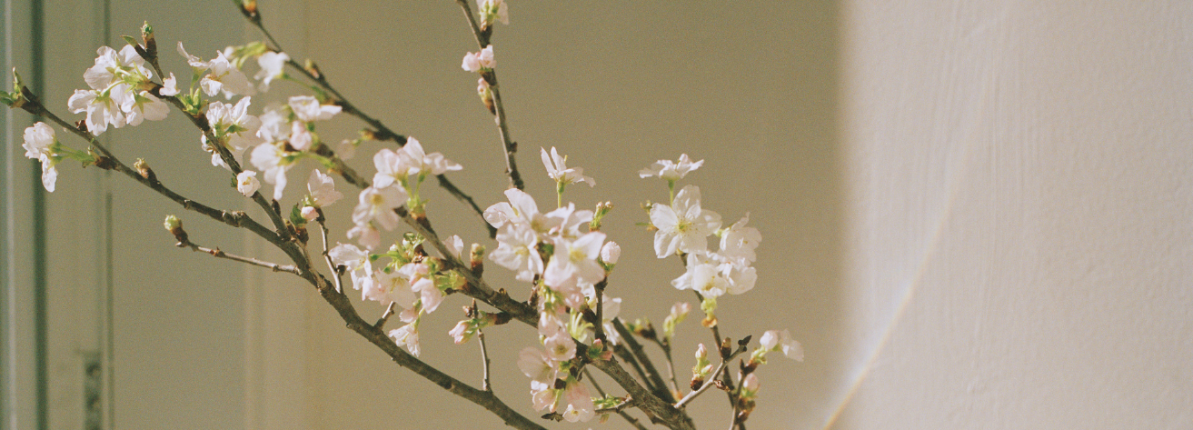 Reed Diffuser Oils & Sticks | MUJI Australia