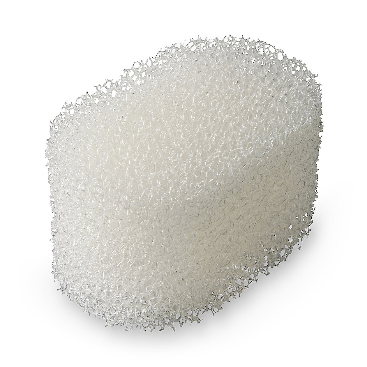 Buy MUJI Urethane Foam Spare Sponge - For Sponge With Handle